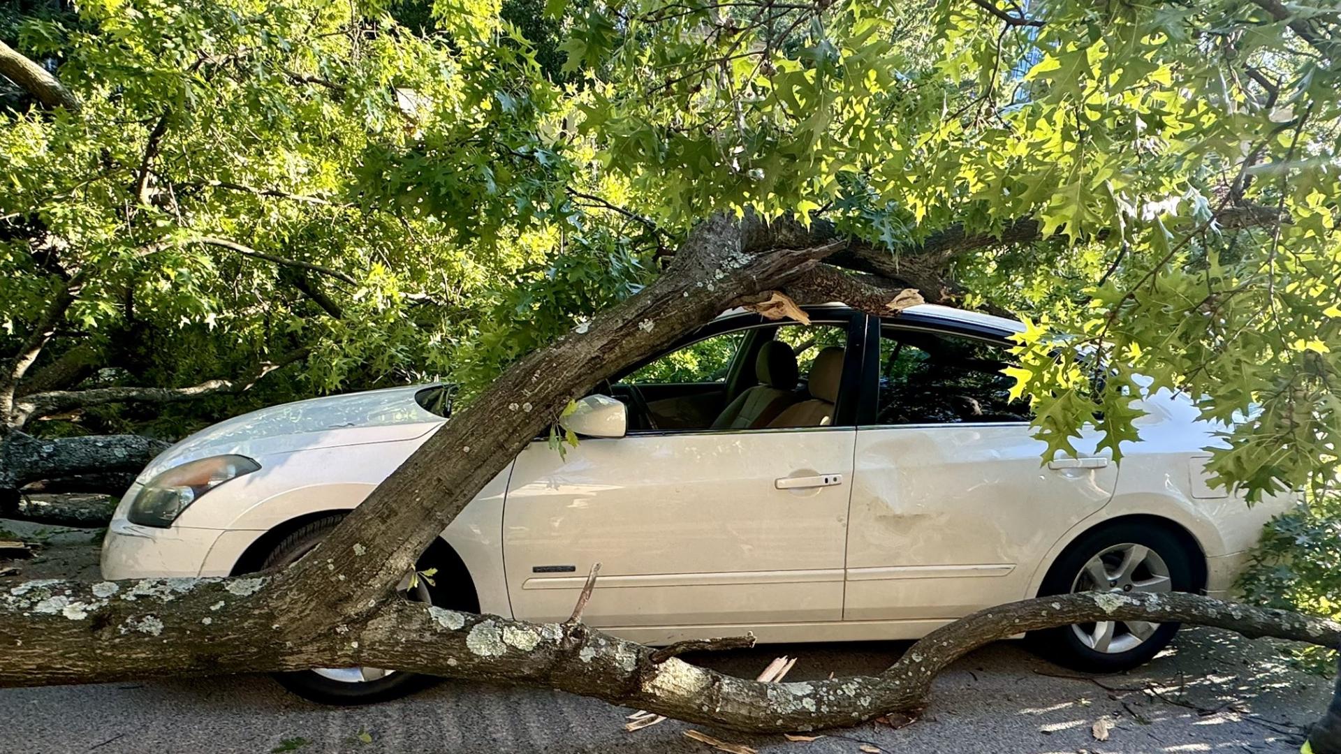 Tree branch falls on car in Northwest DC | wusa9.com