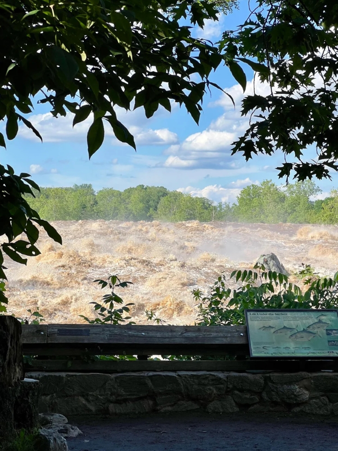 Great Falls flood captured in stunning photos | wusa9.com