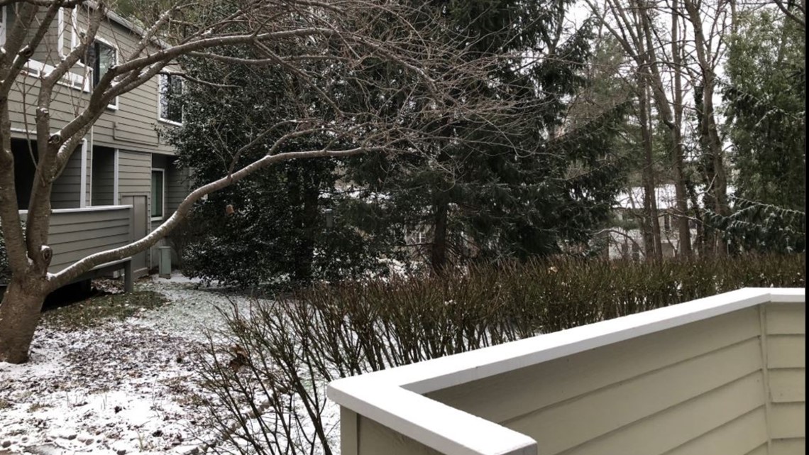 Photos: A dusting of snow hits the DMV region | wusa9.com