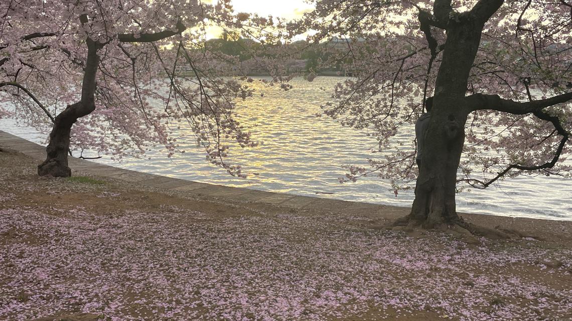 Investigator gives inside look at the Beltway Sniper case | wusa9.com