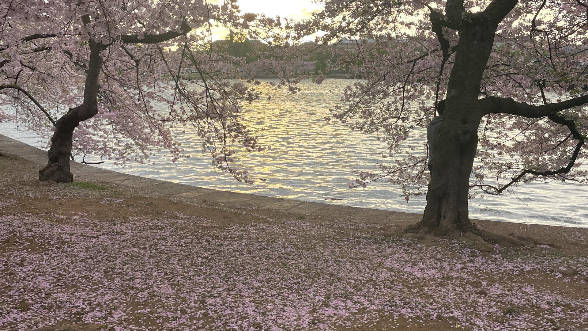 Northwest Stadium is the new home of the Washington Commanders | wusa9.com