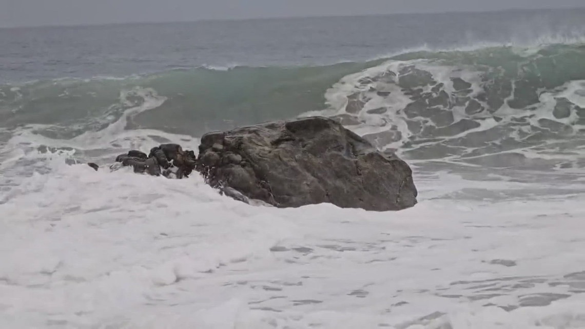 19-year-old man arrested, charged for killing his mother | wusa9.com