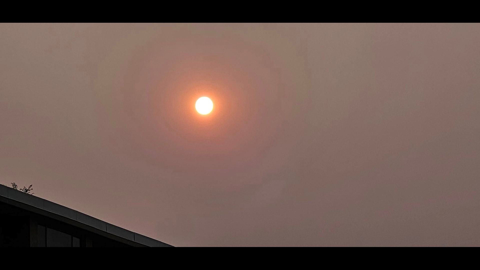 What is code purple air quality | wusa9.com