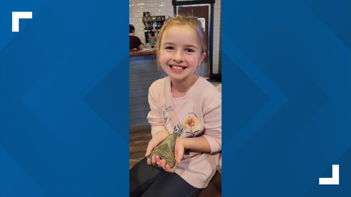 Maryland girl finds a megalodon shark tooth millions of years old ...