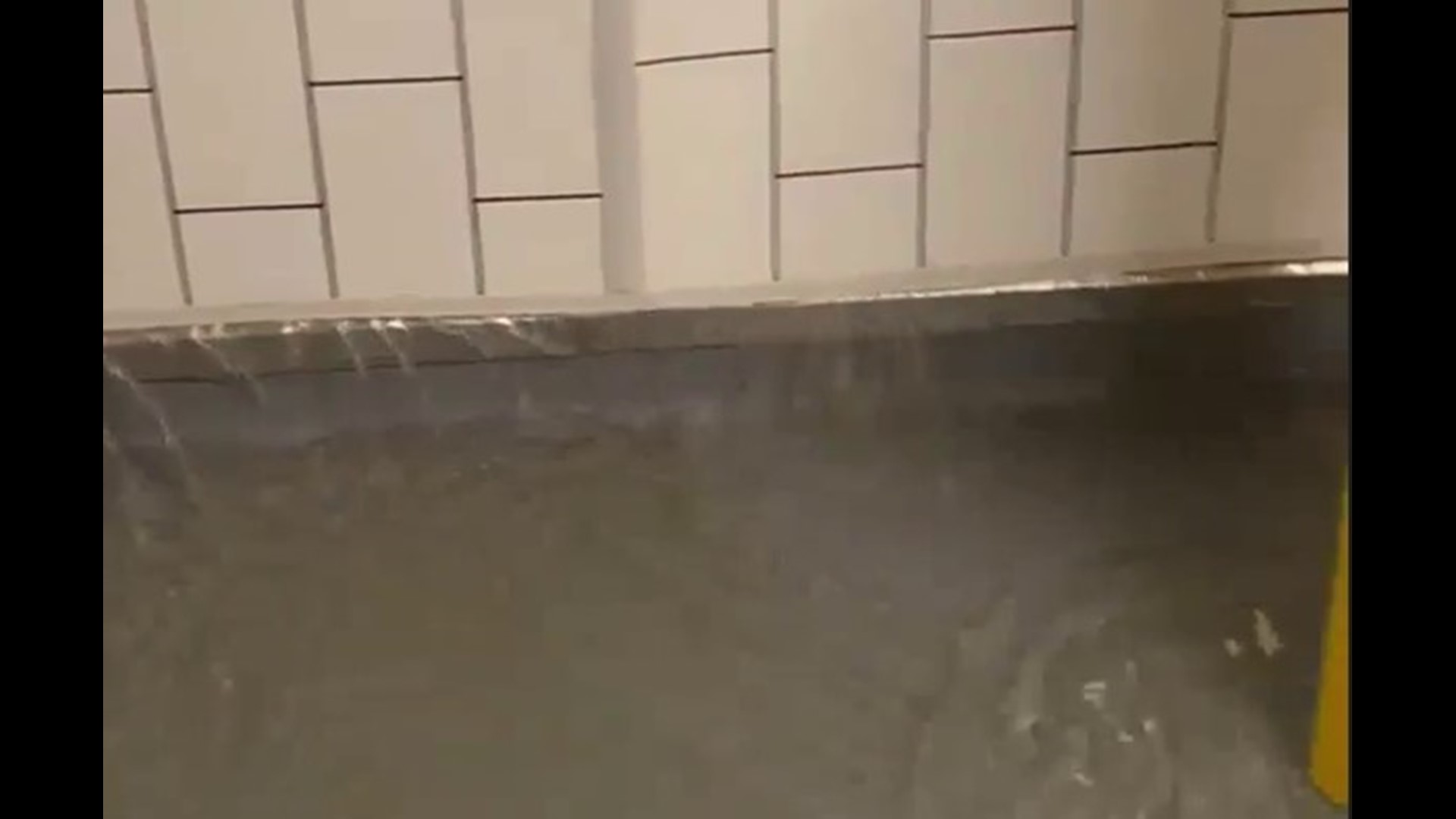 Employee: Fallen refrigerator blocked rescue of drowning dogs | wusa9.com