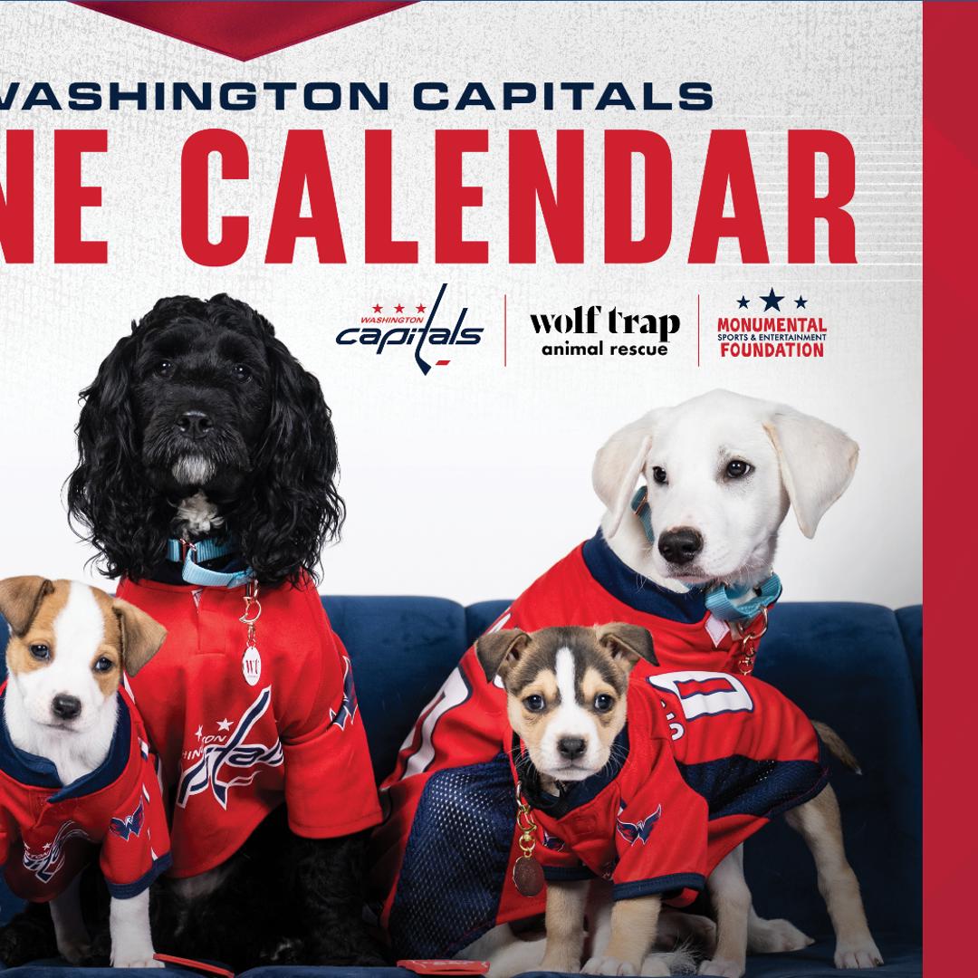 Pups and Caps: Capitals canine calendar is available for purchase ...