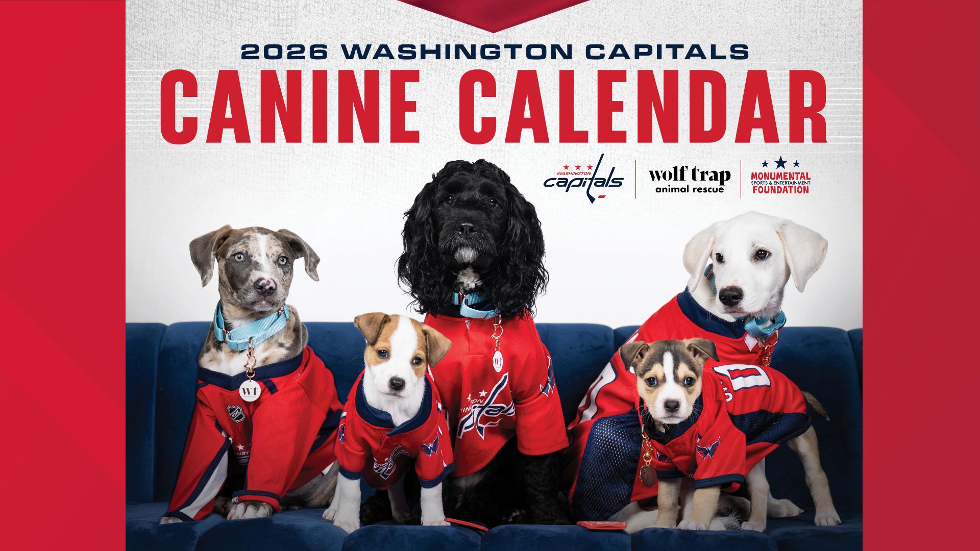 Pups and Caps: Capitals canine calendar is available for purchase ...