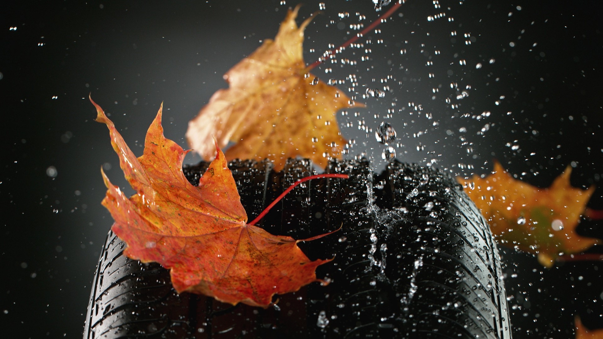 Why driving on wet leaves can be as slick as icy conditions | wusa9.com