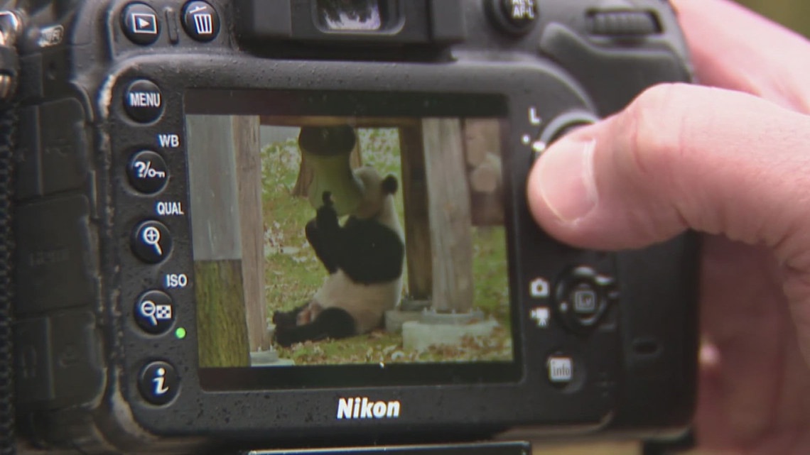 DC National Zoo is back open | wusa9.com