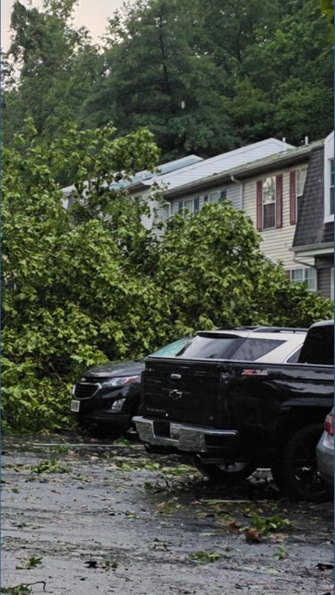 Prince George's County hit by severe storm, crews on cleanup duty ...