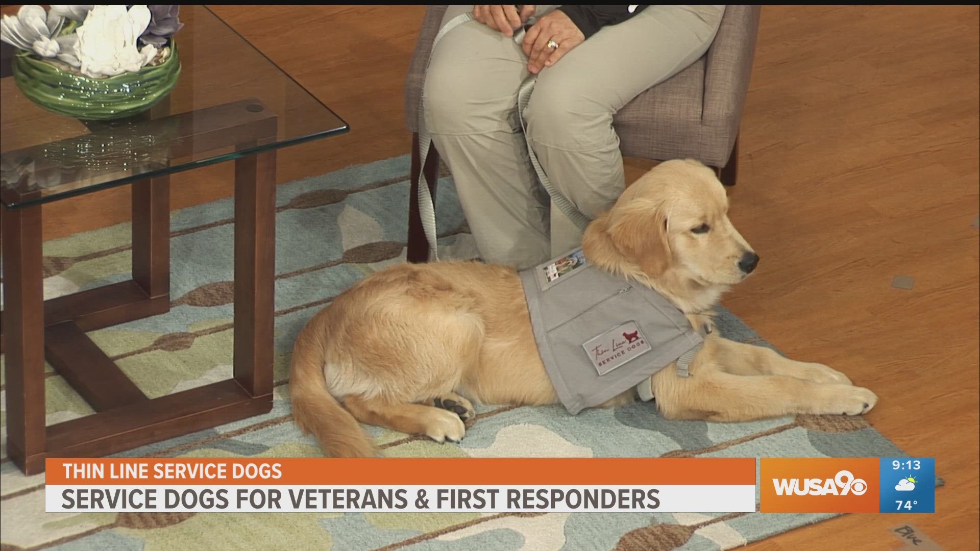 Thin Line Service Dogs provides services dogs to veterans and first ...