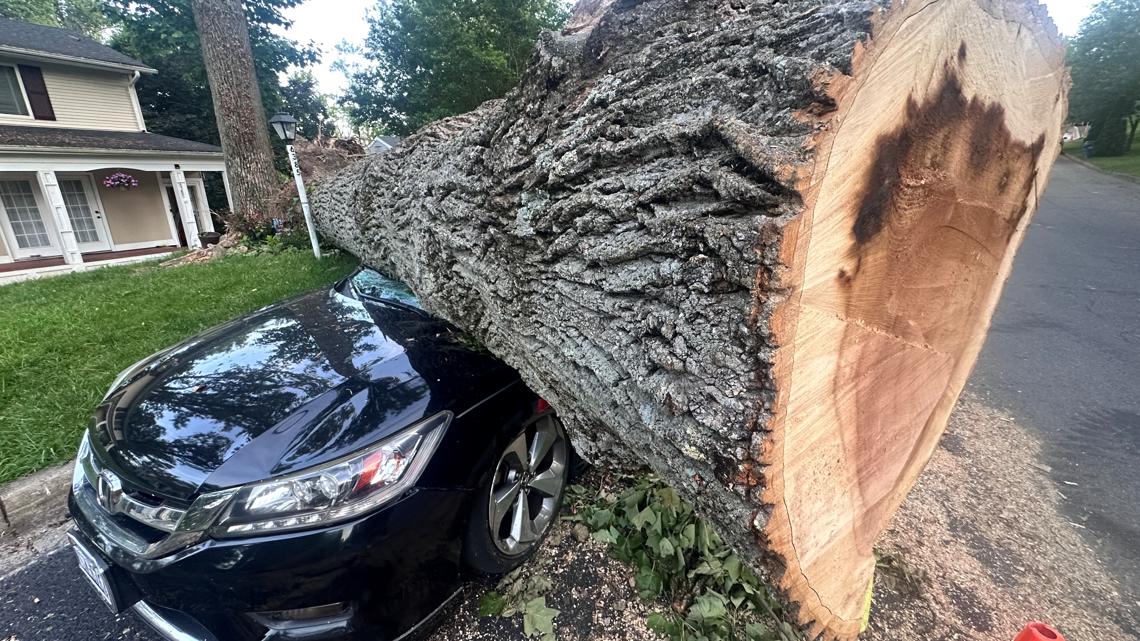 Tree comes crashing down on several parked cars in Fairfax County ...