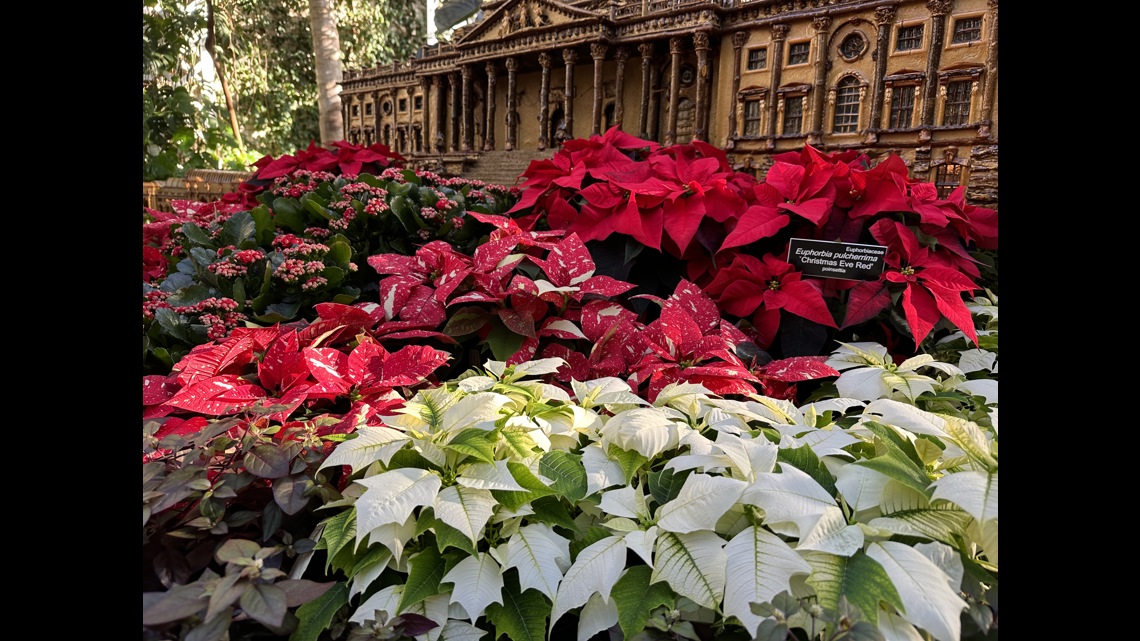 What's new for the Botanic Garden's 2024 holiday display | wusa9.com