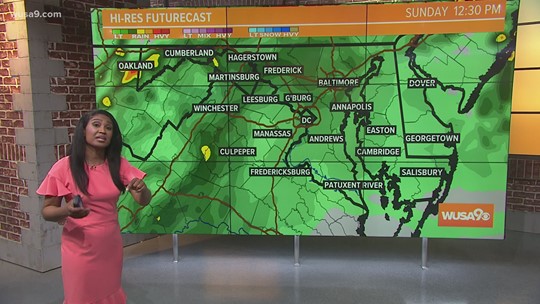 Meet the WUSA9 Team | Washington, DC | wusa9.com