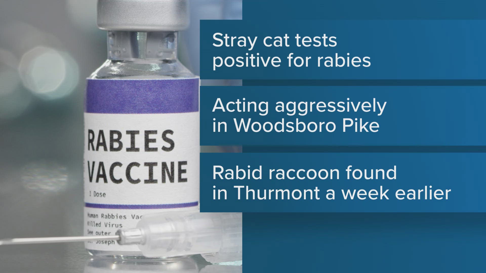 Brandywine Valley SPCA takes over DC animal control services | wusa9.com