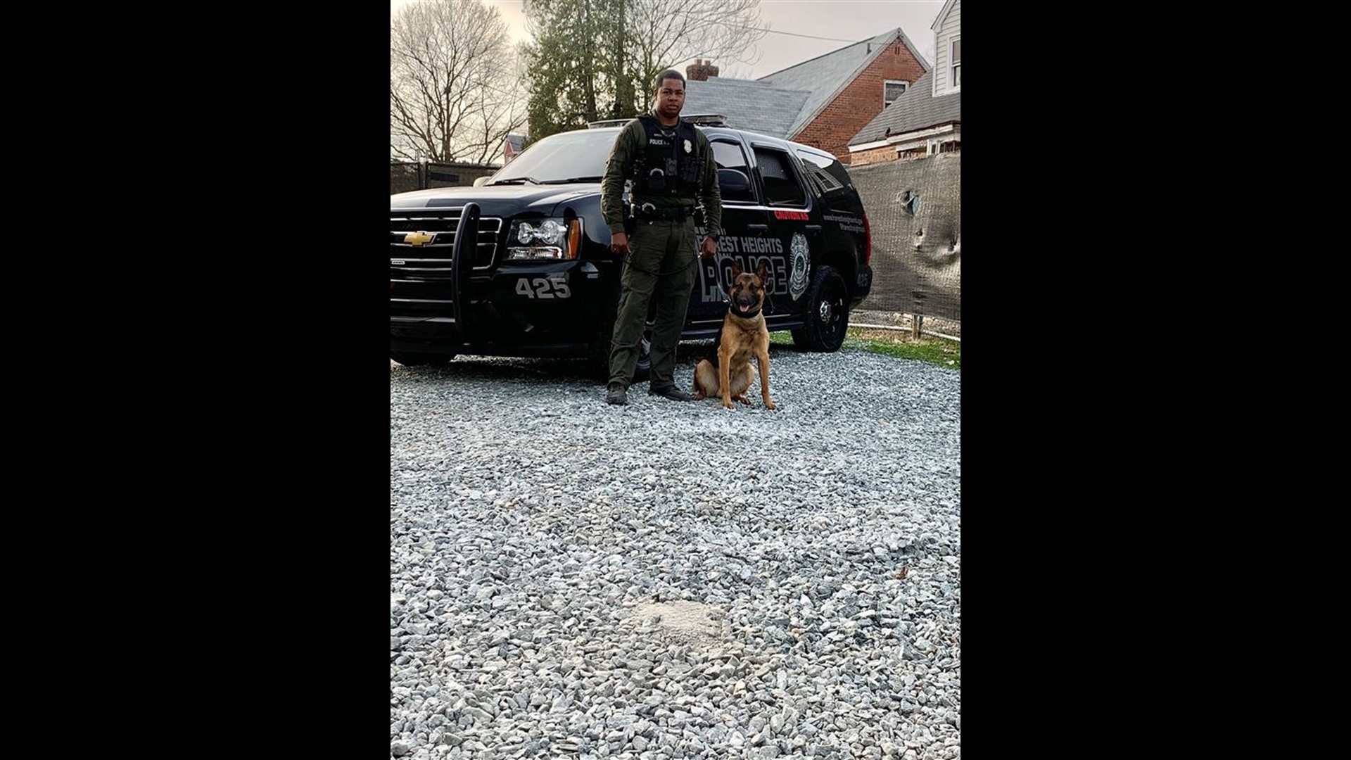 Memorial service planned for fallen police K9 Kuno in Maryland | wusa9.com