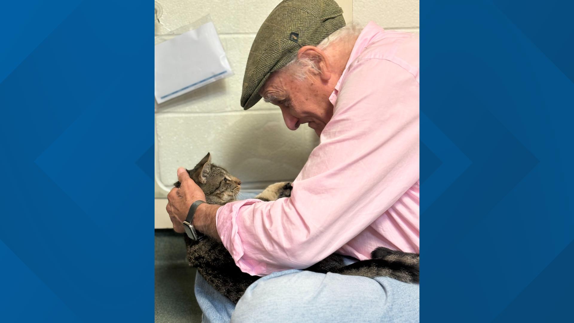 Lost Fairfax County cat reunited with family after being missing for 2 ...