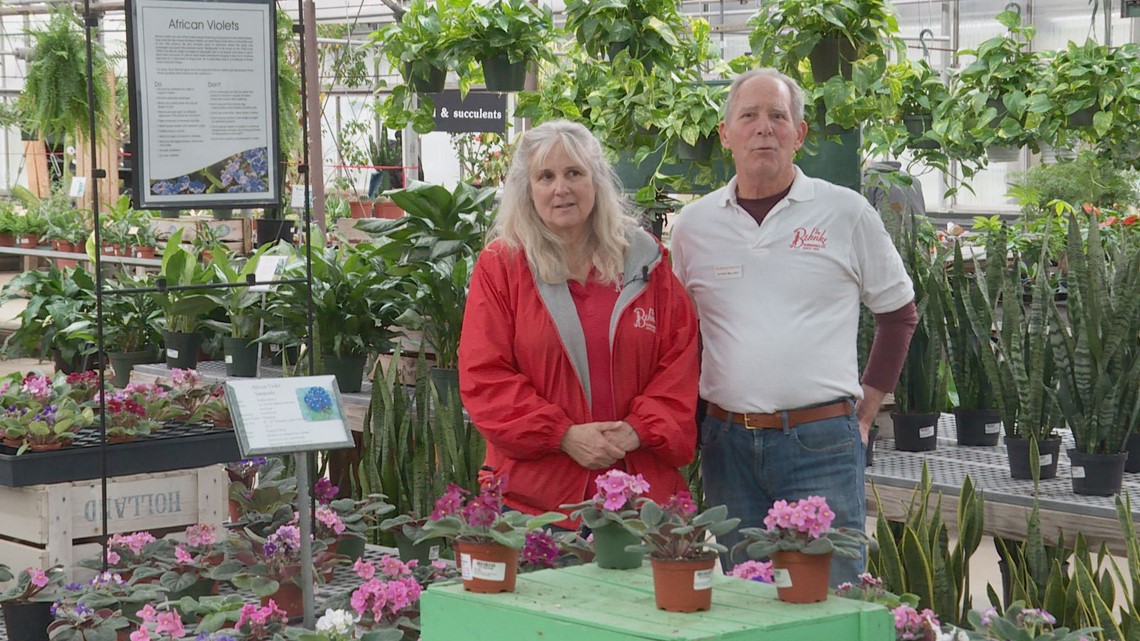 Popular Md. business 'Behnke Nurseries' closing after 89 years | wusa9.com