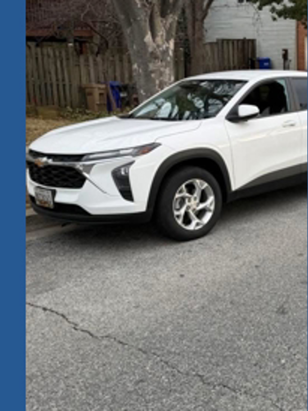 Guide to Cherry Blossom 10 Mile Race in Washington, DC | wusa9.com