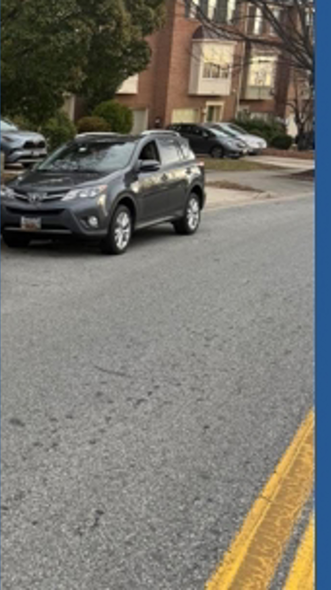 Guide to Cherry Blossom 10 Mile Race in Washington, DC | wusa9.com