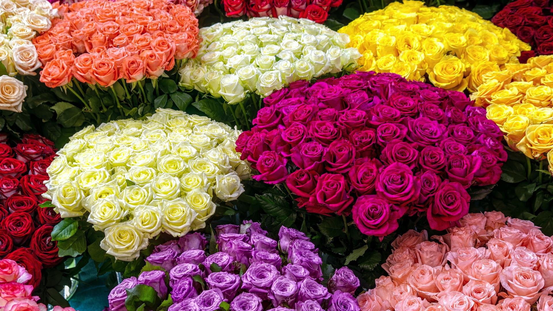 Woman selling flowers dragged by SUV in attempted robbery | wusa9.com