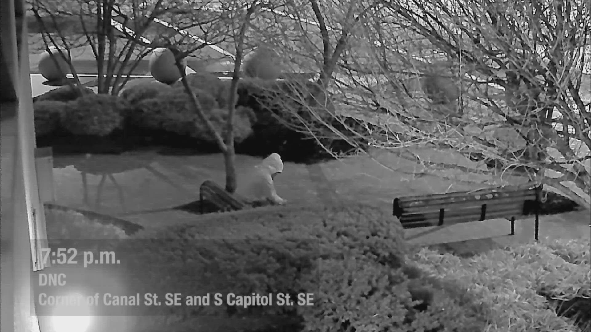 Brian Cole Jr. back in court today | wusa9.com