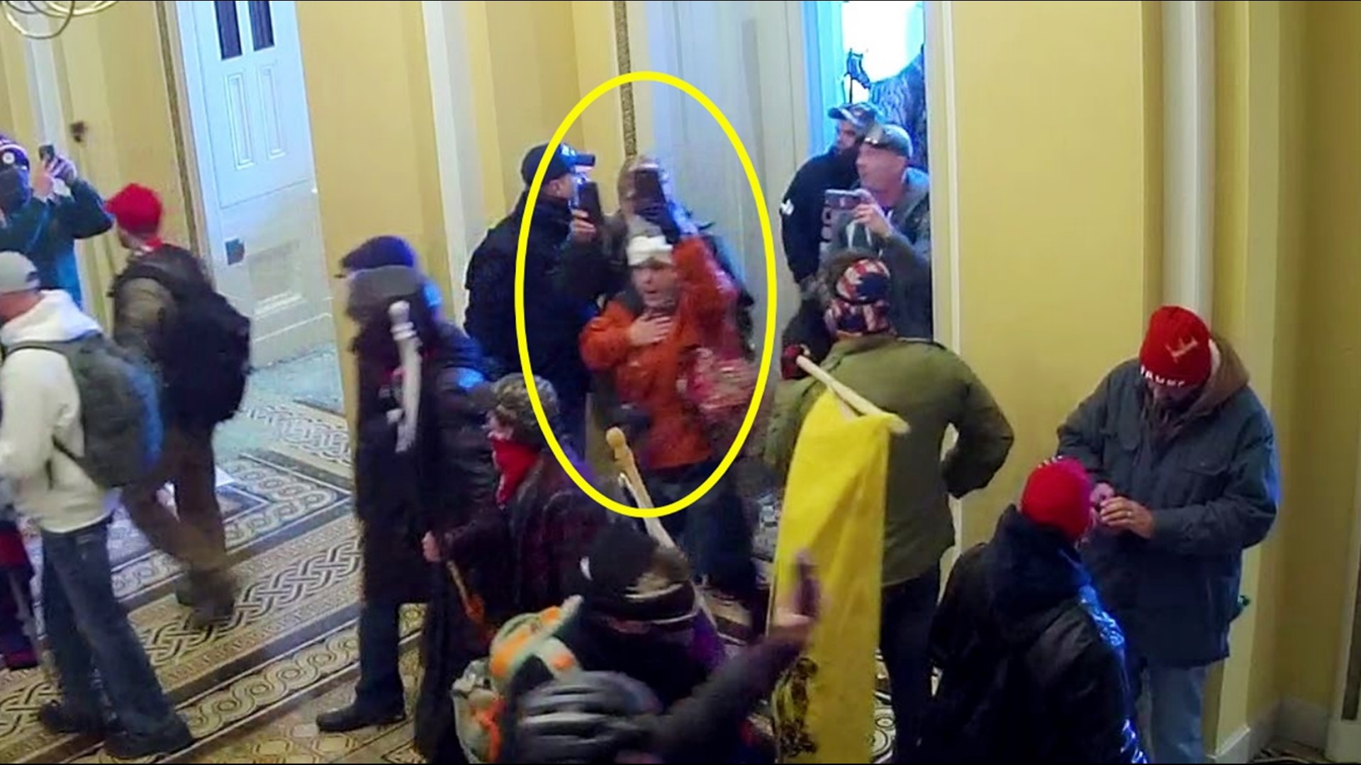 DOJ: Virginia woman who entered Speaker's office warrants 60 days ...