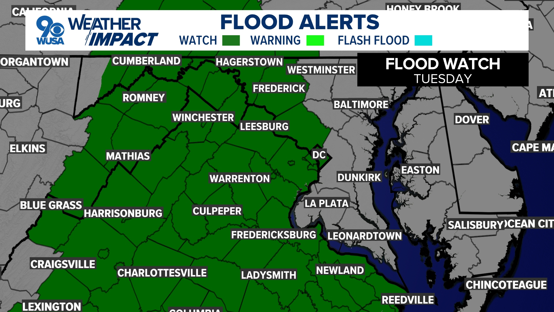 National Zoo panda cam Washington DC snow Giant Pandas enjoy snow ...