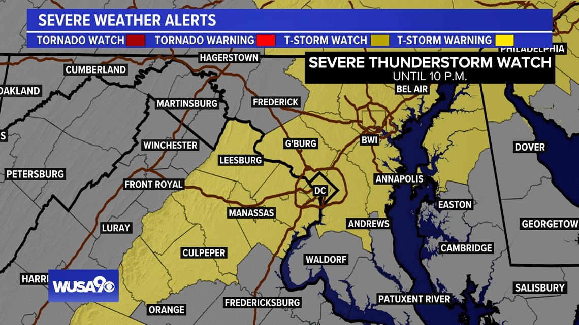 Watch | WUSA9 Live and On-Demand Videos | Washington DC | wusa9.com