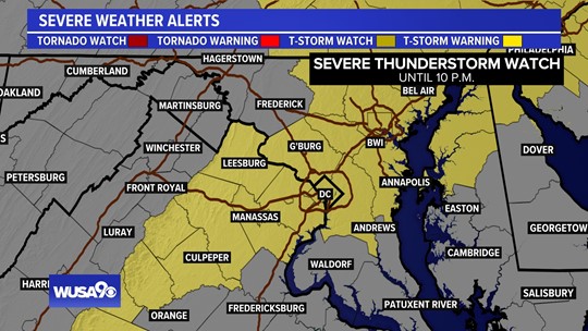 Watch | WUSA9 Live and On-Demand Videos | Washington DC | wusa9.com