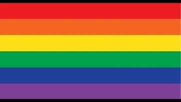 The meaning behind the many LGBTQ+ flags and who they represent | wusa9.com
