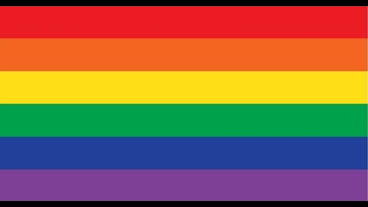 The meaning behind the many LGBTQ+ flags and who they represent | wusa9.com