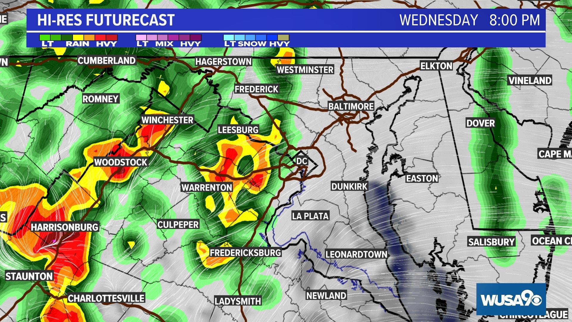 MAGA Patriot Party national committee: Fact check, who runs it | wusa9.com