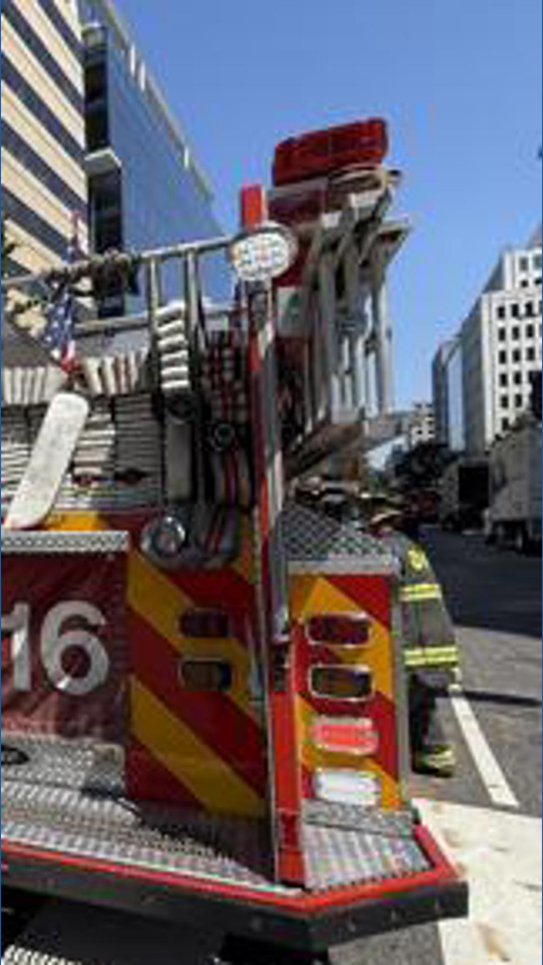 Harrowing tail: Dog rescued after getting trapped in escalator | wusa9.com