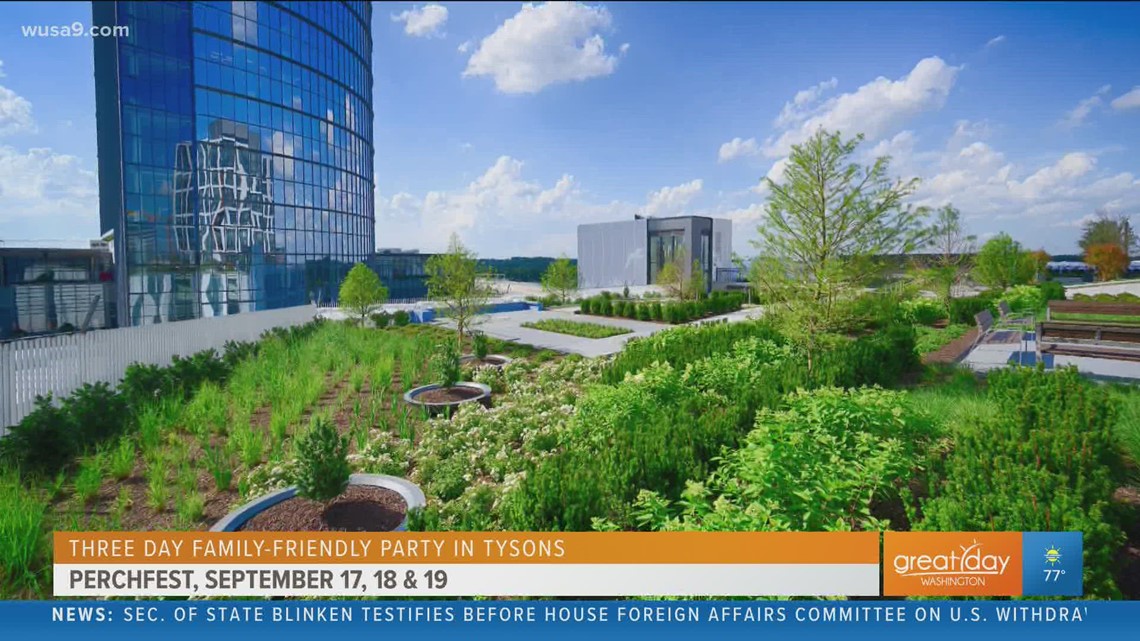 Get ready for 'PerchFest' this weekend in Tysons | wusa9.com
