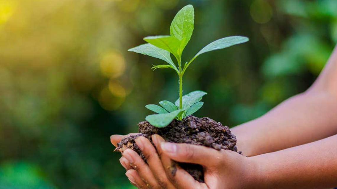 World Environment Day event this Sunday in Bethesda | wusa9.com
