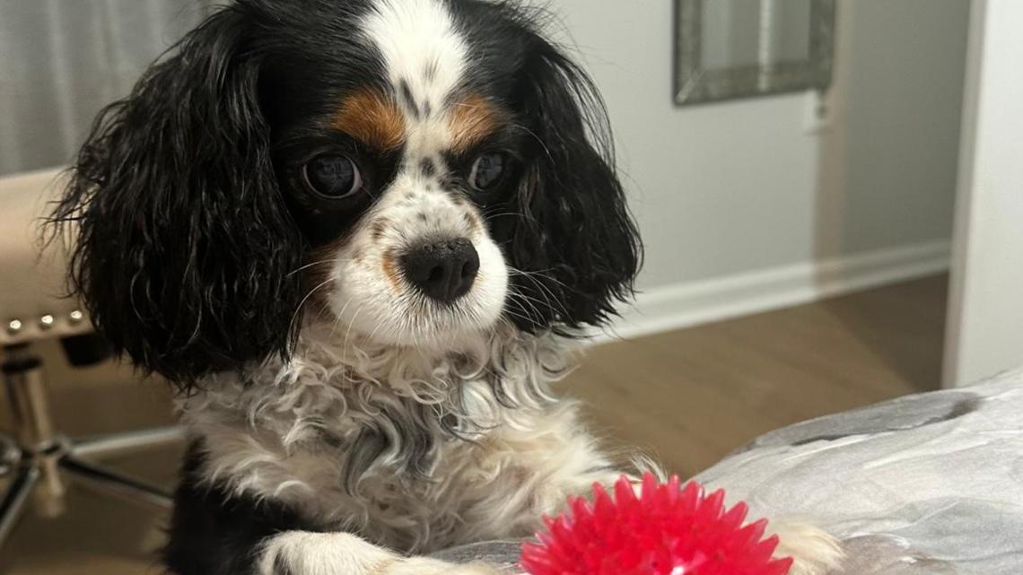 Pharmacist in deadly drug mix-up to take additional training. | wusa9.com