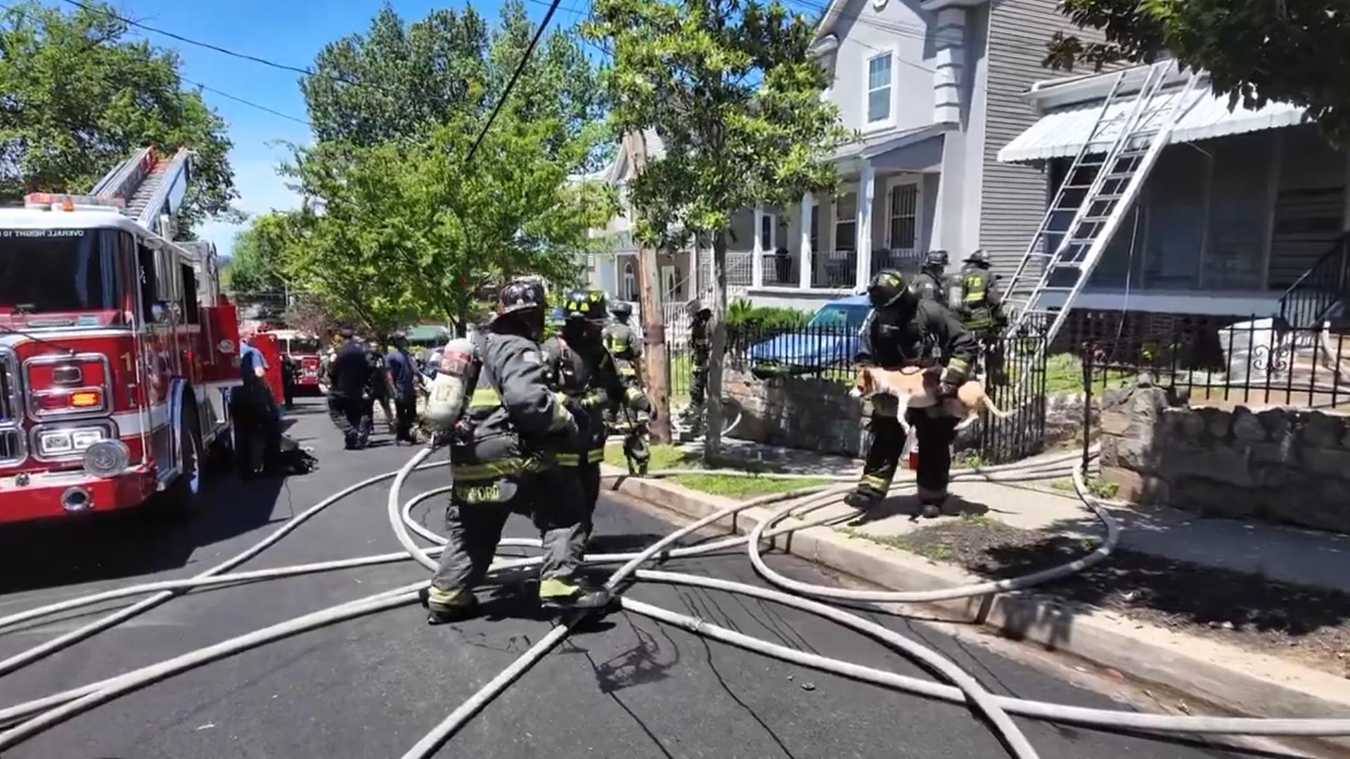 Firefighters save dog from Southeast DC house fire | wusa9.com
