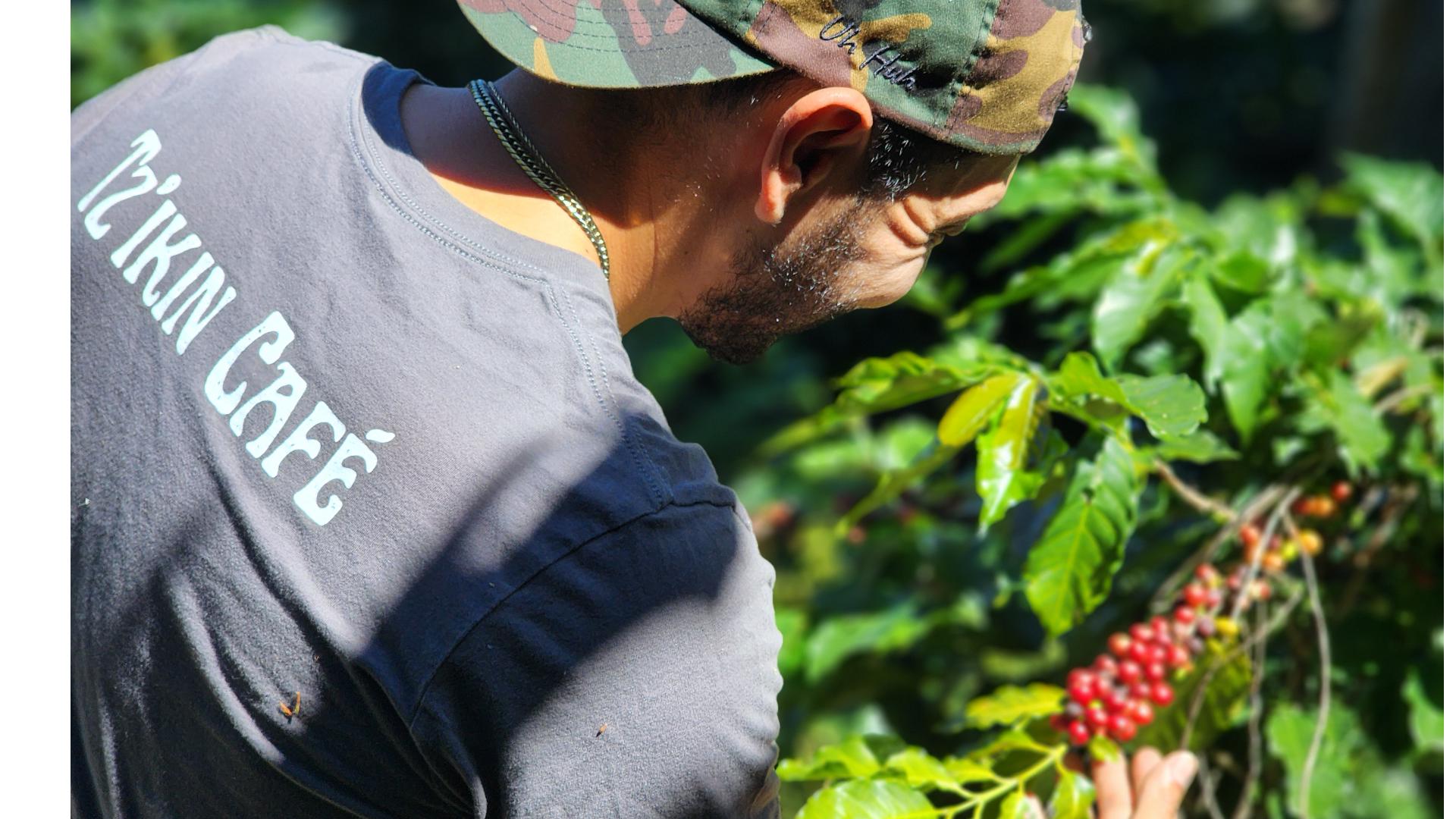 Tz’ikin Cafe brings Central American coffee to Art Place at Fort Totten ...