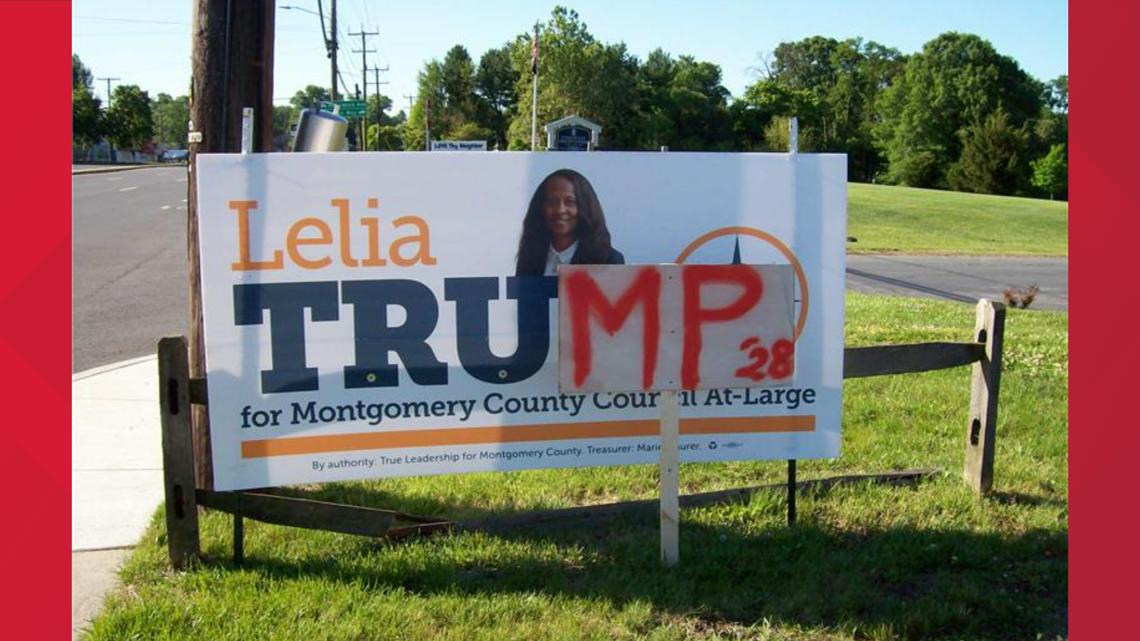 Candidate for Montgomery County Council At-Large campaign sign ...