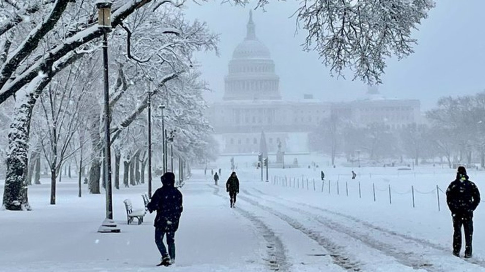 VERIFY: What qualifies a snowstorm as a blizzard? | wusa9.com