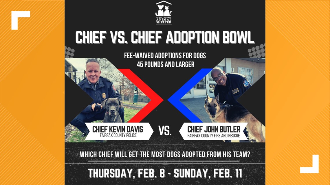 Chief vs. Chief adoption bowl for dogs in Fairfax County | wusa9.com