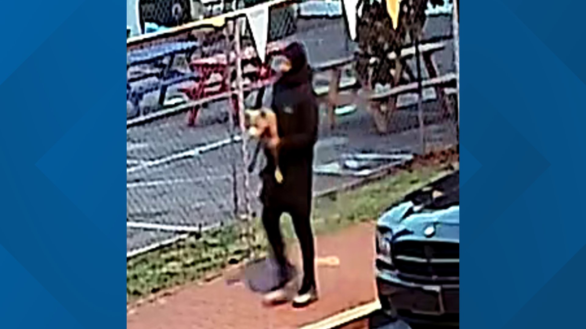 New photos, video released in DC dog abuse case | wusa9.com