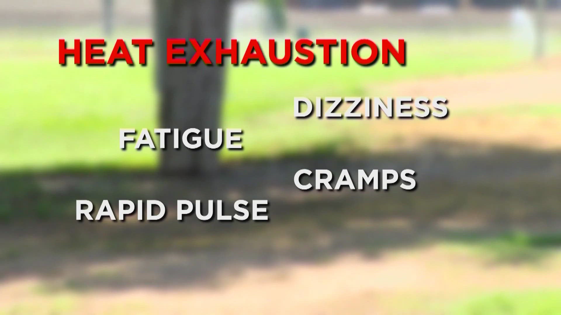 Spotting the signs of heat-related illnesses | wusa9.com