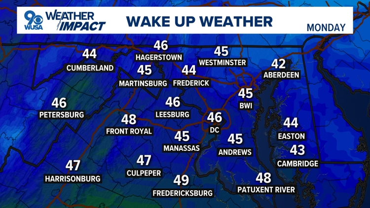 YouTube takes down FamilyOFive channels operated by convicted child ...