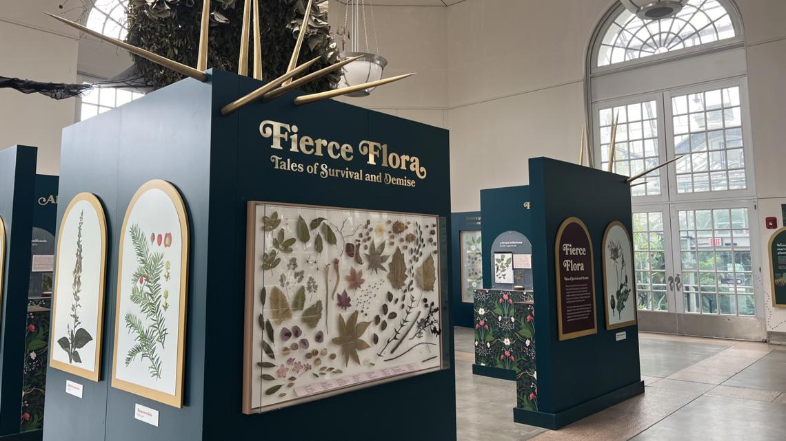 A new Botanic Garden exhibit focuses on the power of plants | wusa9.com