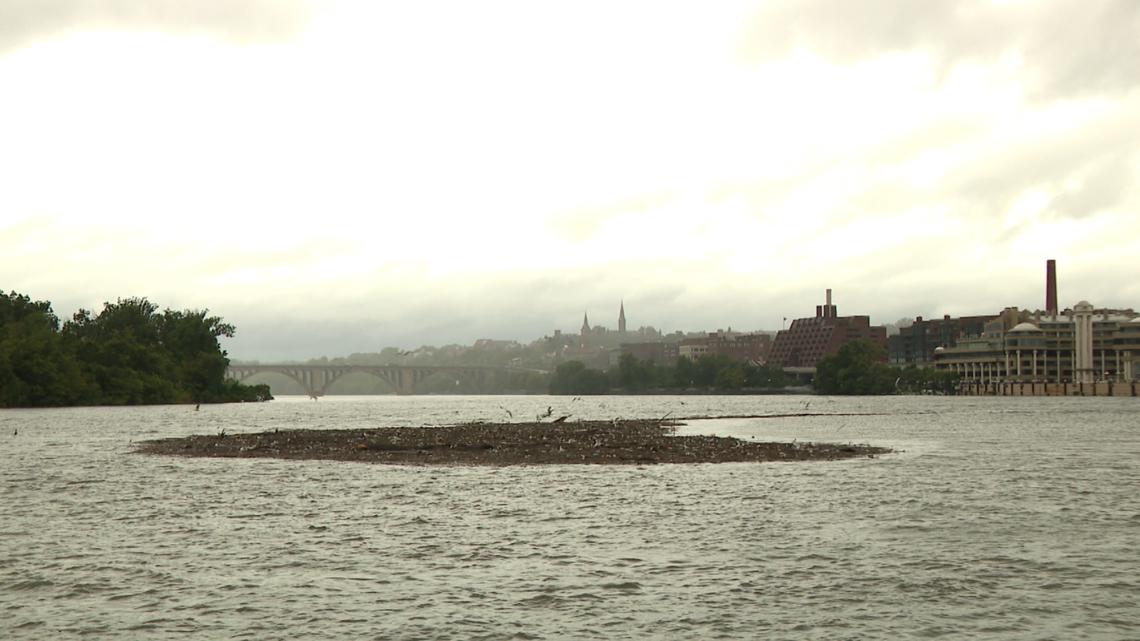 What's behind the big trash pile floating down the Potomac River ...