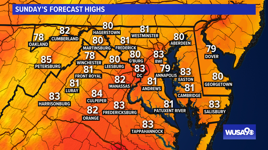 Meet the WUSA9 Team | Washington, DC | wusa9.com