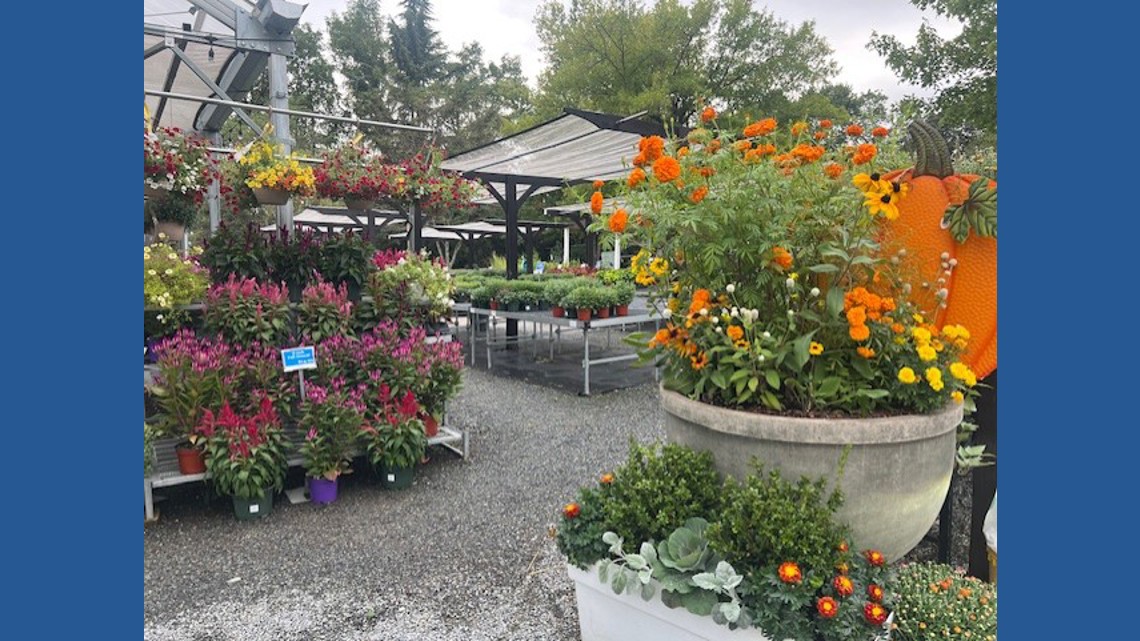 Man and woman charged with defacing Teslas around Northeast DC | wusa9.com