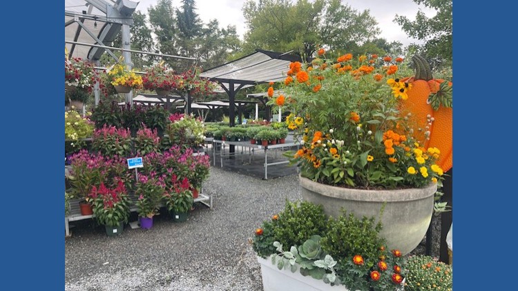 VERIFY: Is this incredibly steep bridge in viral video real? | wusa9.com